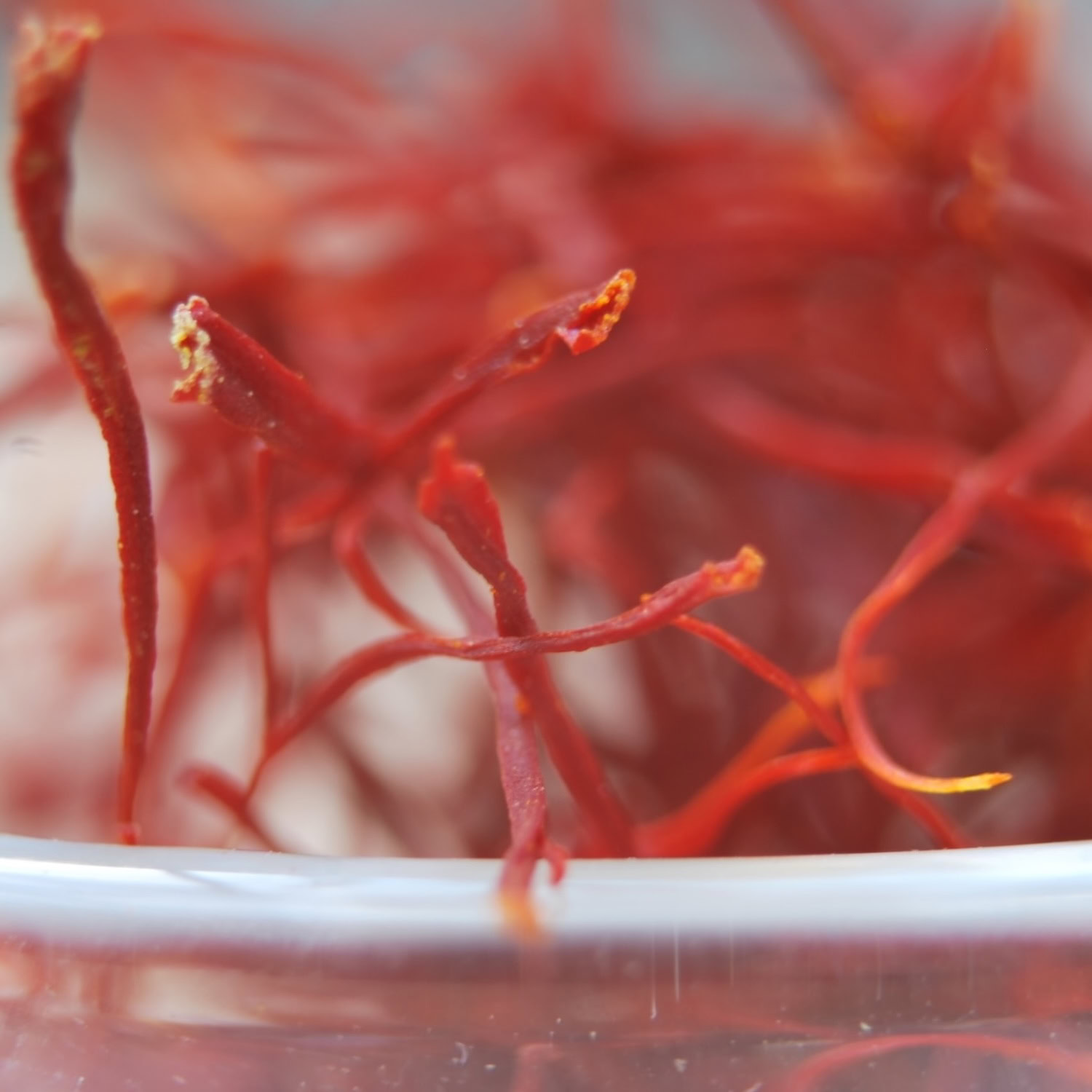 Saffron Profile | Everything You Need to Know