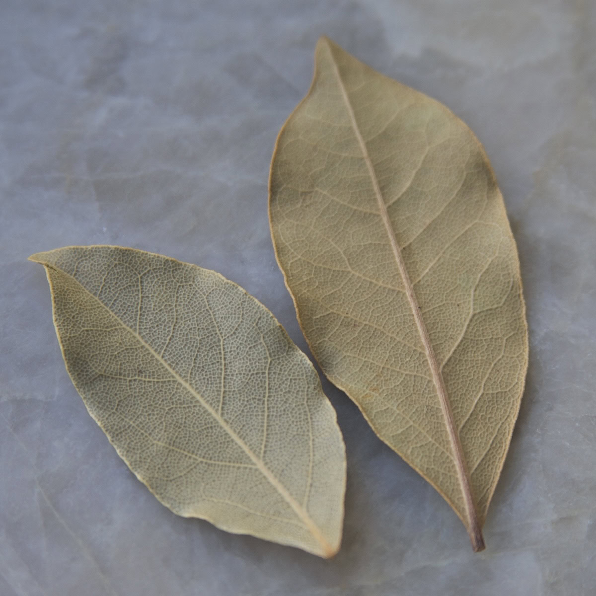 Bay Leaf | Flavor, Uses, History & Health Benefits
