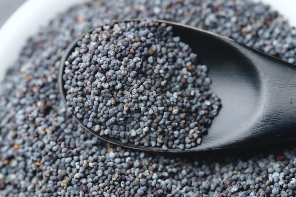 Poppy Seed | Glossary